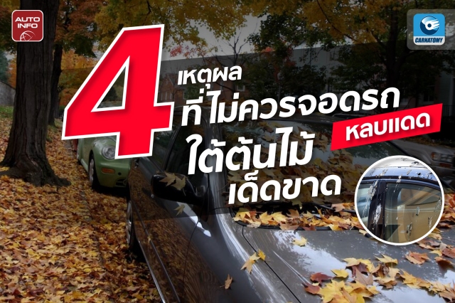 autoinfo.co.th ลึก เร็ว ครบ ทุกเรื่องรถที่คุณอยากรู้